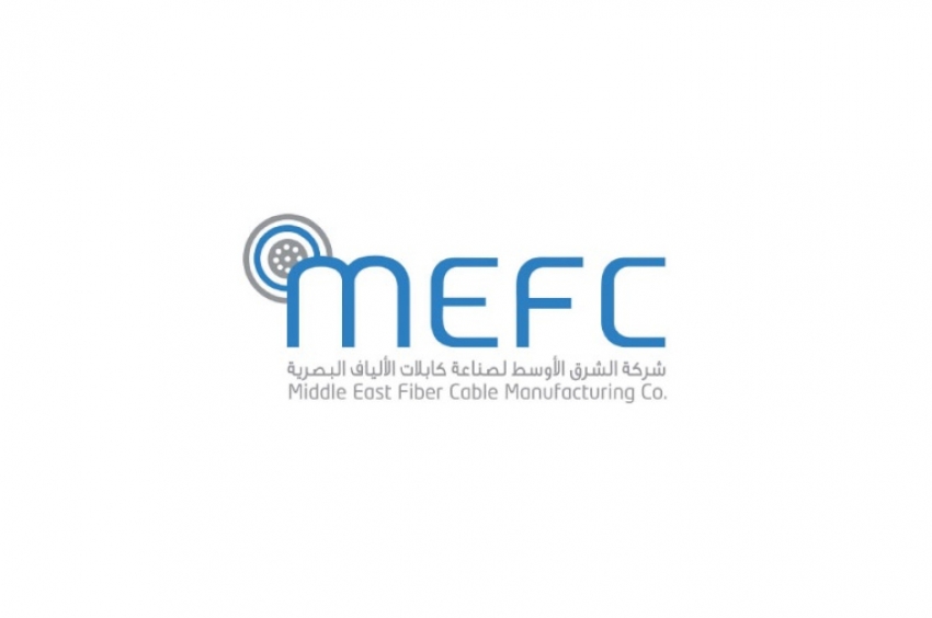 Mehr Global Consultancy
